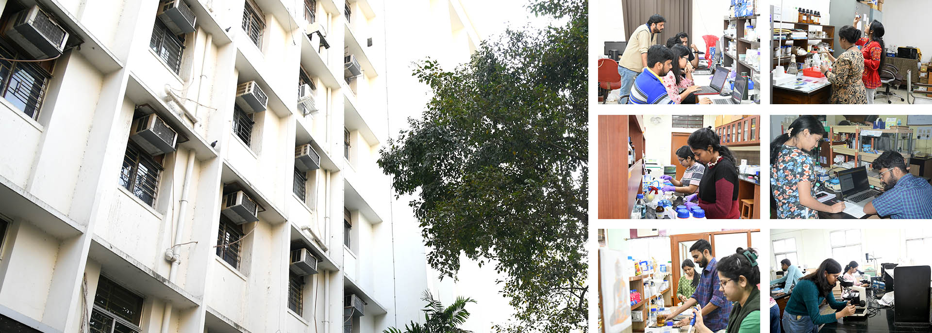 University of Calcutta