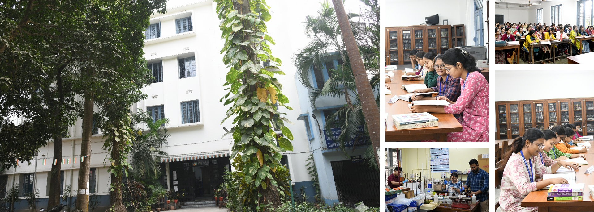 University of Calcutta
